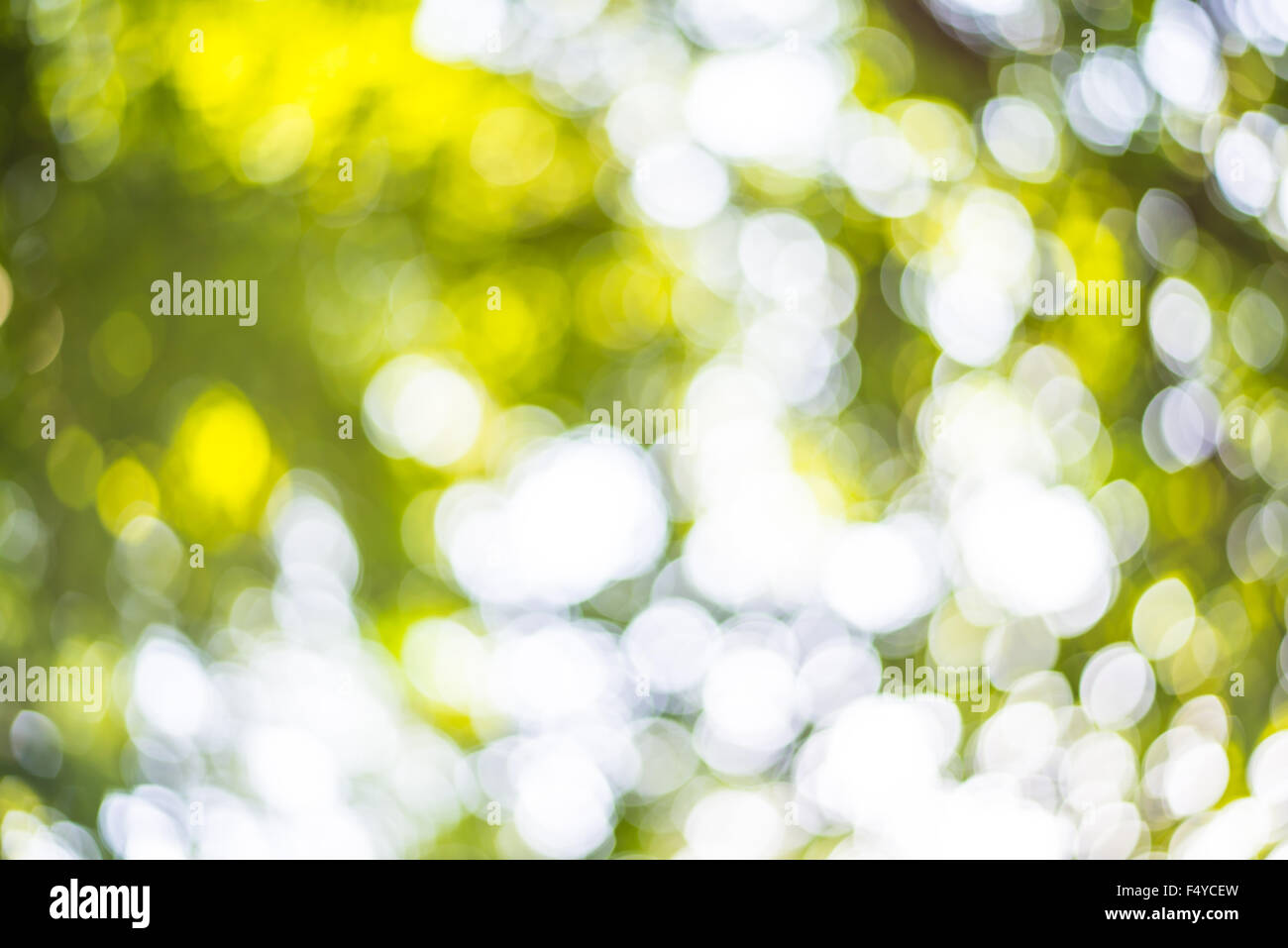 Zoom shot out of focus green tree for background. Bokeh Stock Photo - Alamy