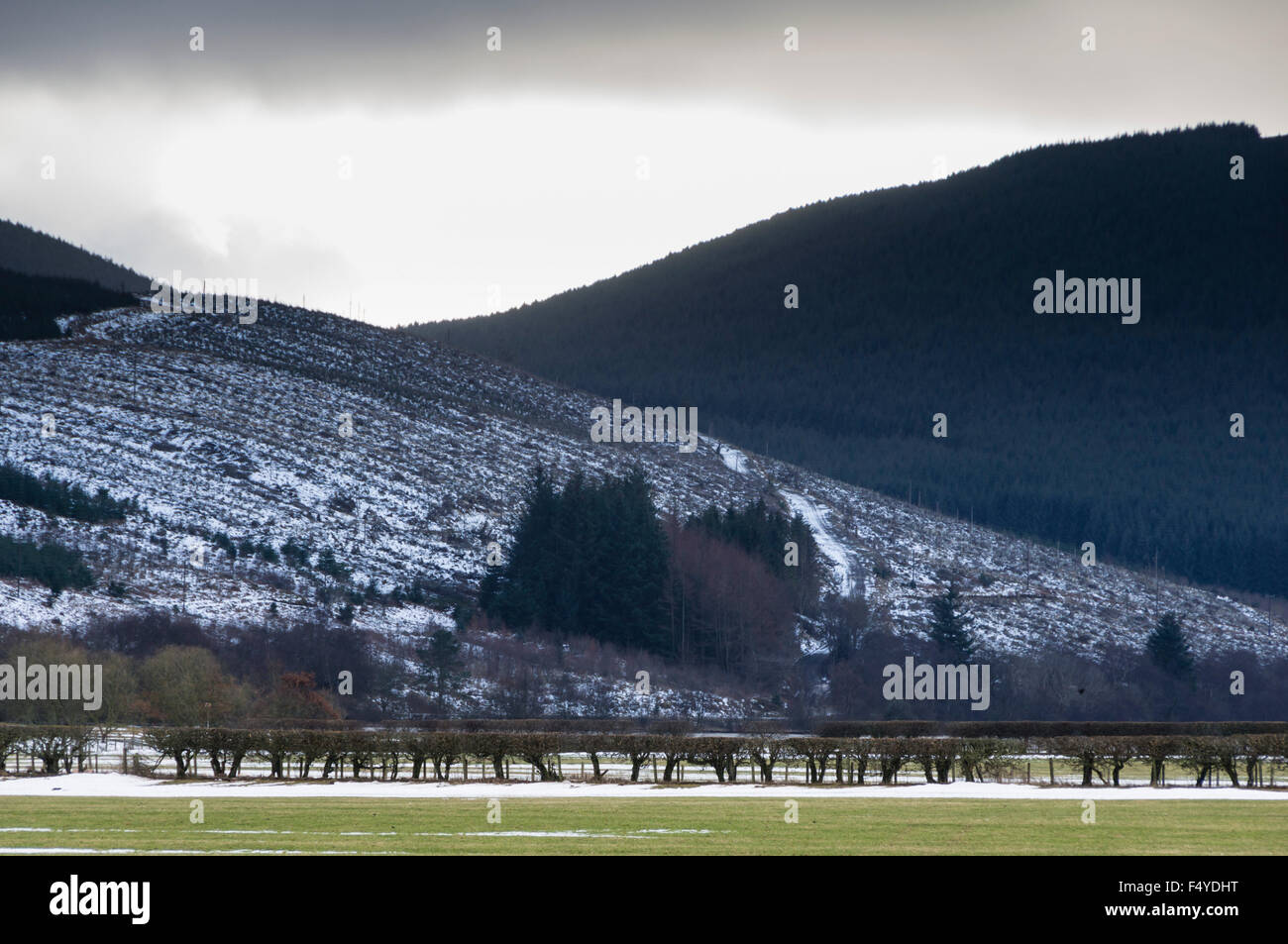 Yarrow Valley, Scottish Borders Stock Photo - Alamy