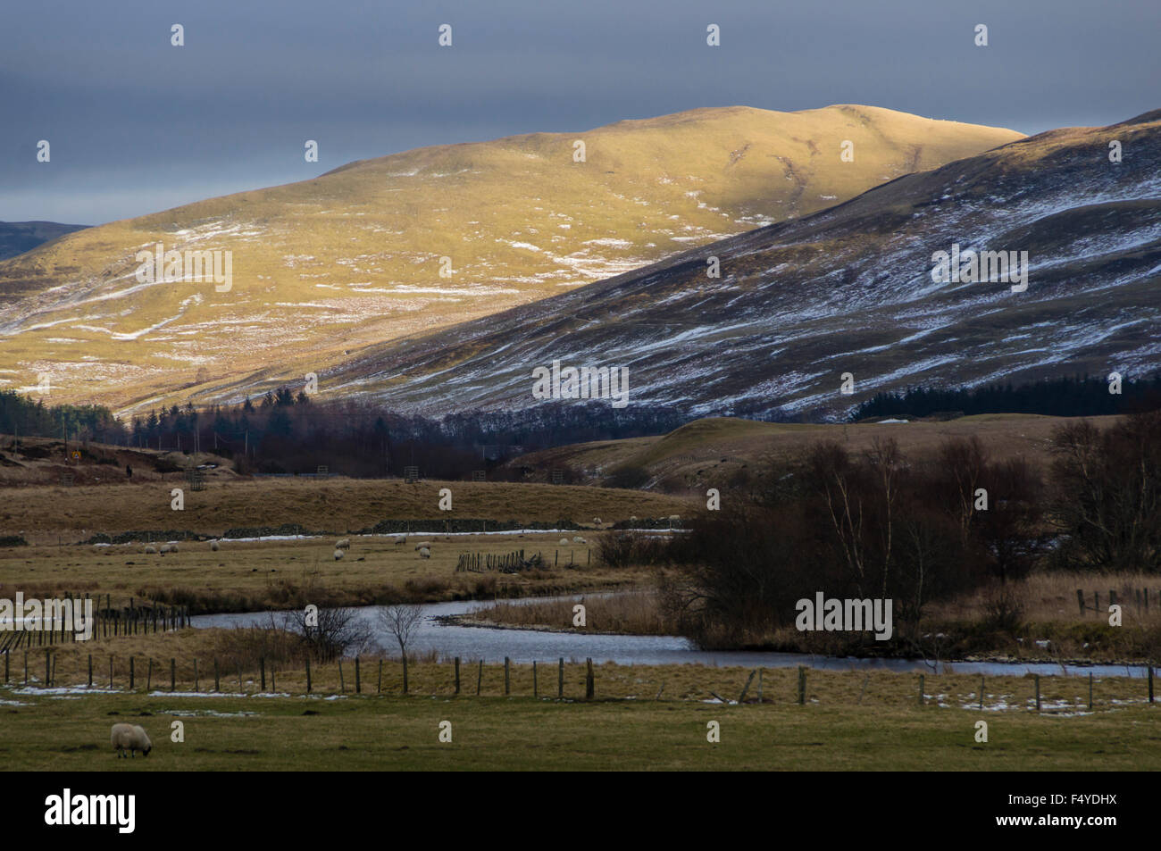 Yarrow valley hi-res stock photography and images - Alamy