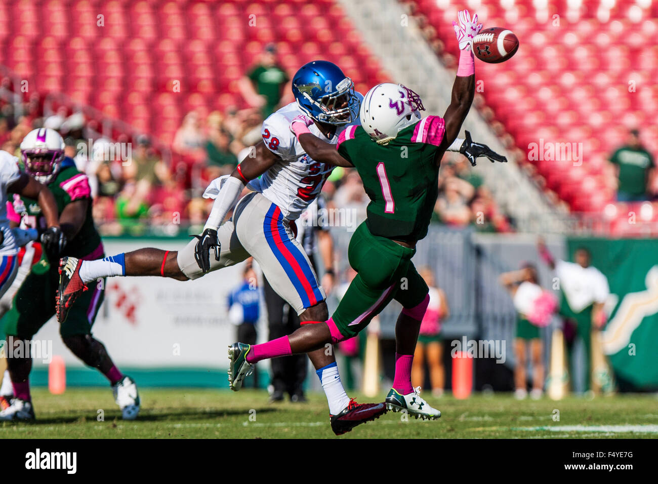 University of south florida bulls hi-res stock photography and images ...