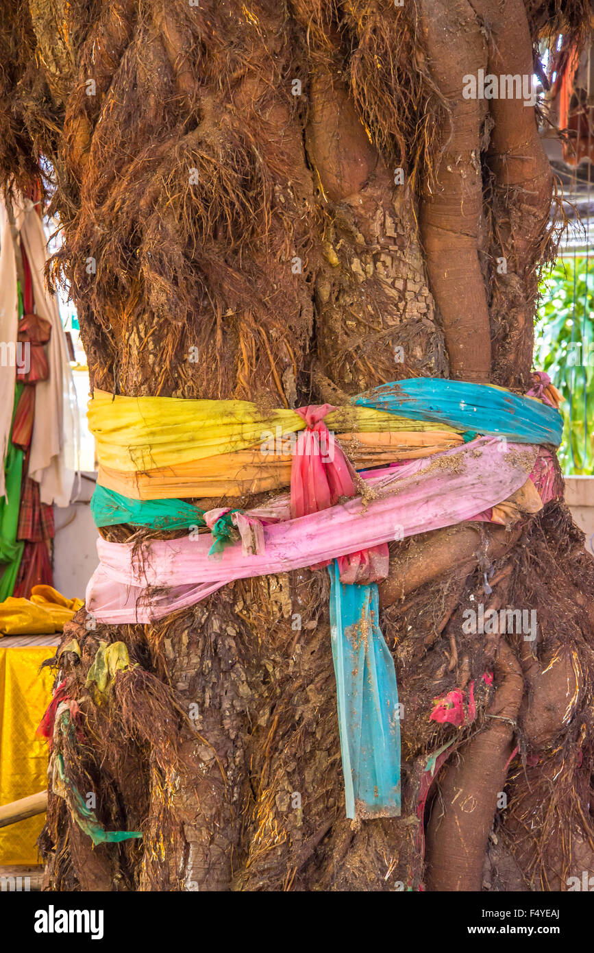 Thread colors to tie around a tree Stock Photo - Alamy