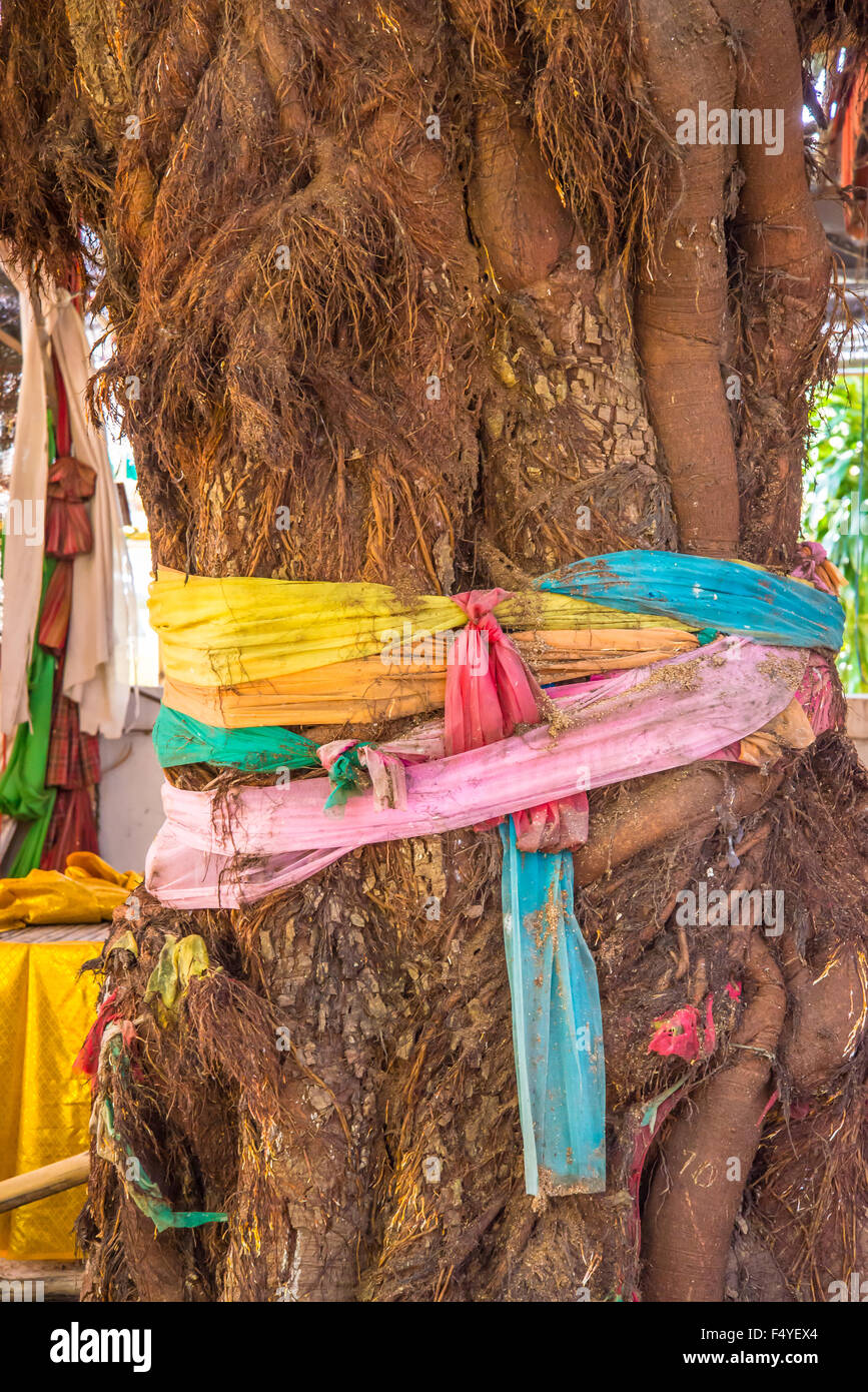 Thread colors to tie around a tree Stock Photo - Alamy