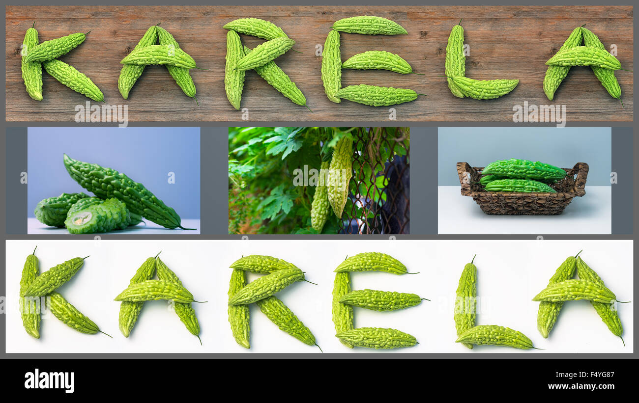 Karela bitter melon caraili composition with text illustration Stock ...