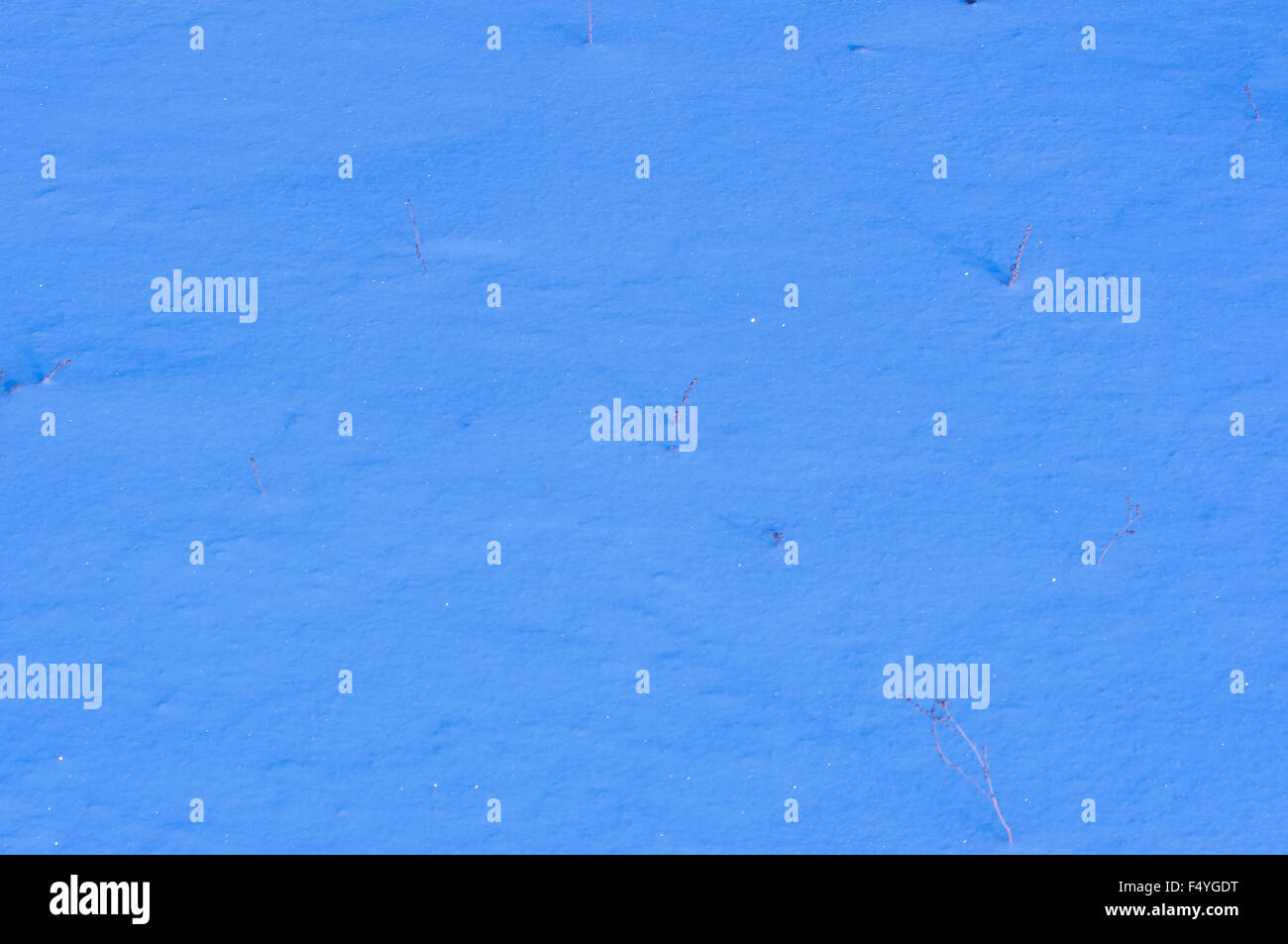 Snow on the first day of the New Year Stock Photo - Alamy