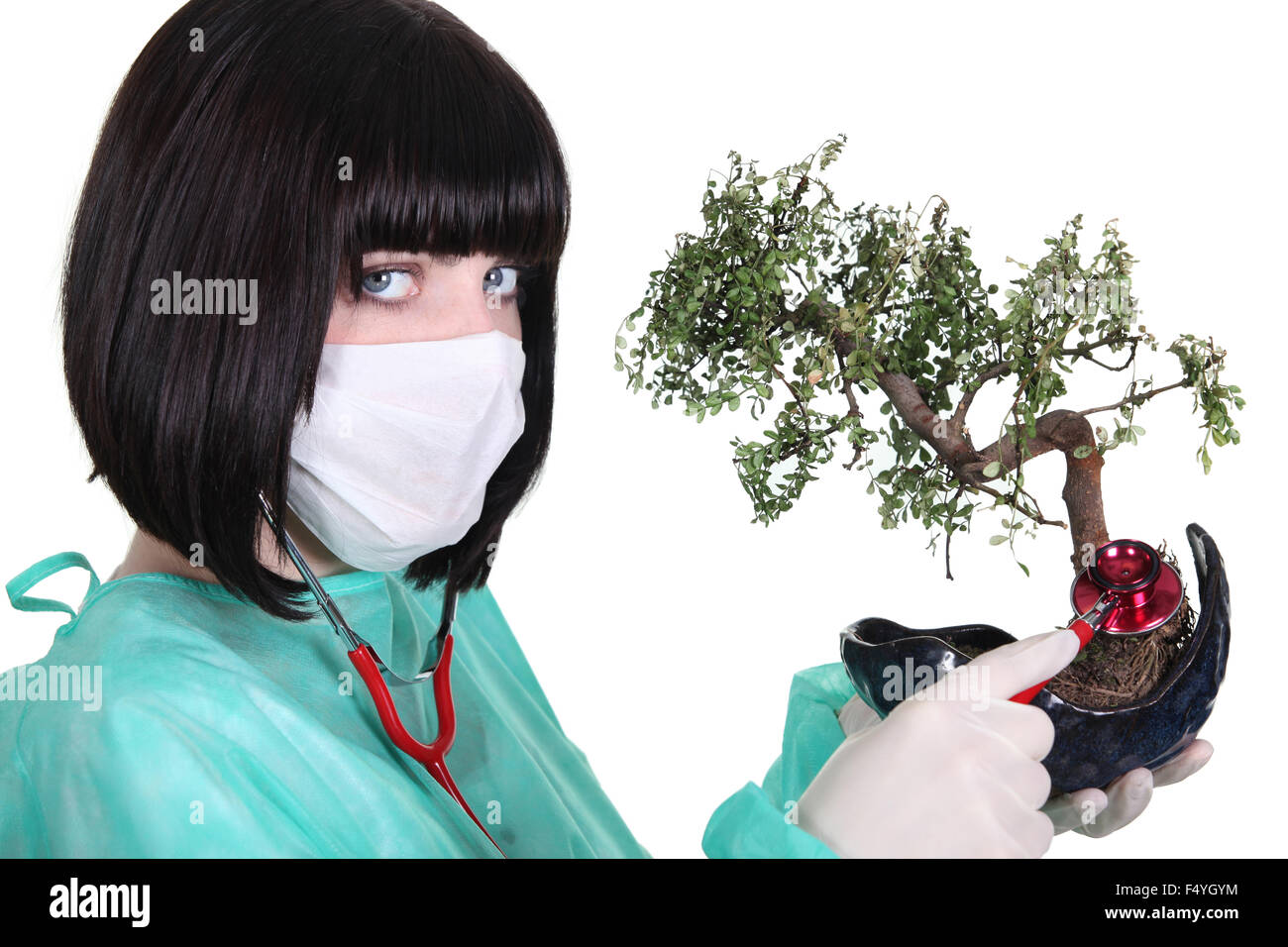 Female doctor with banzai tree Stock Photo - Alamy