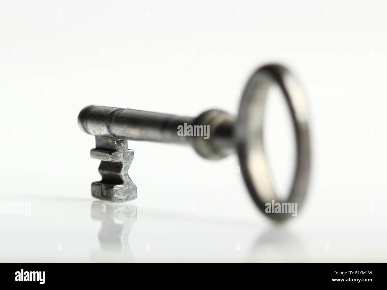 Antique skeleton hi-res stock photography and images - Alamy