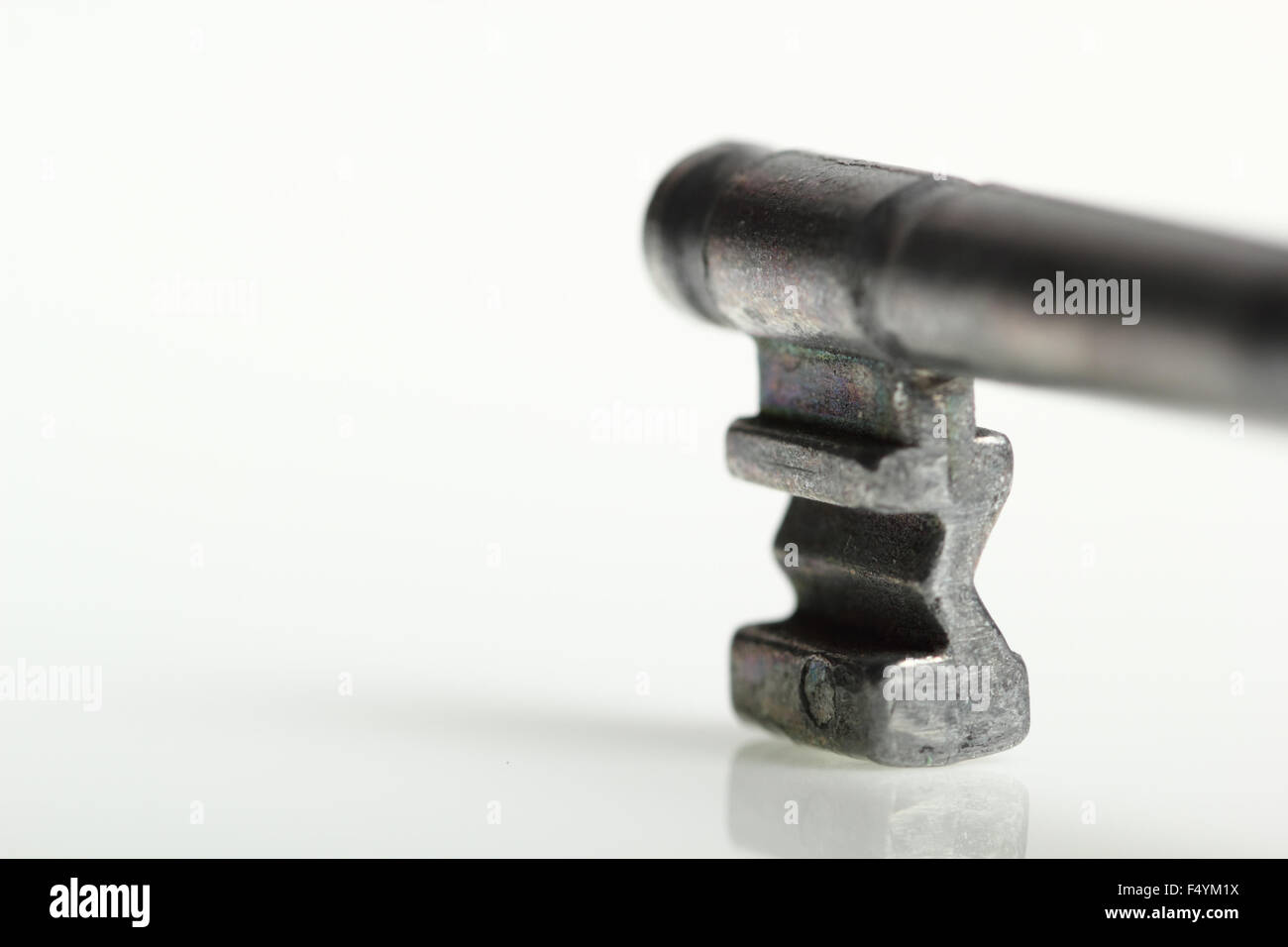 Antique skeleton hi-res stock photography and images - Alamy