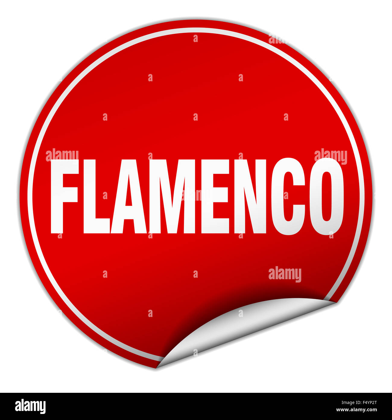 Flamenco dance lesson hi-res stock photography and images - Alamy