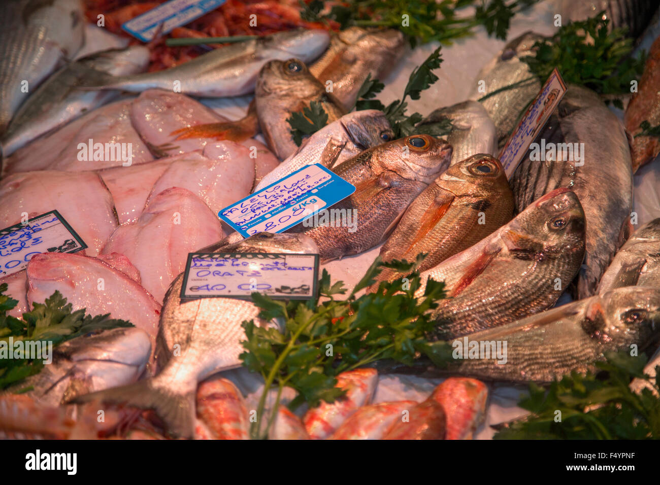 Fishes on the fish market Stock Photo - Alamy