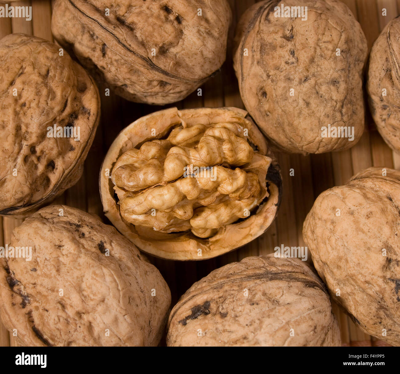 Walnut with open shell hi-res stock photography and images - Alamy