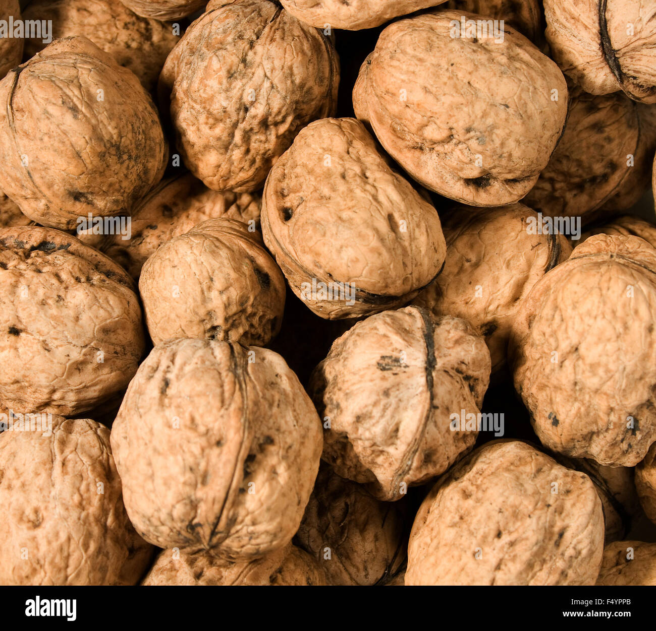 many of walnuts - background consist lot of walnuts Stock Photo - Alamy