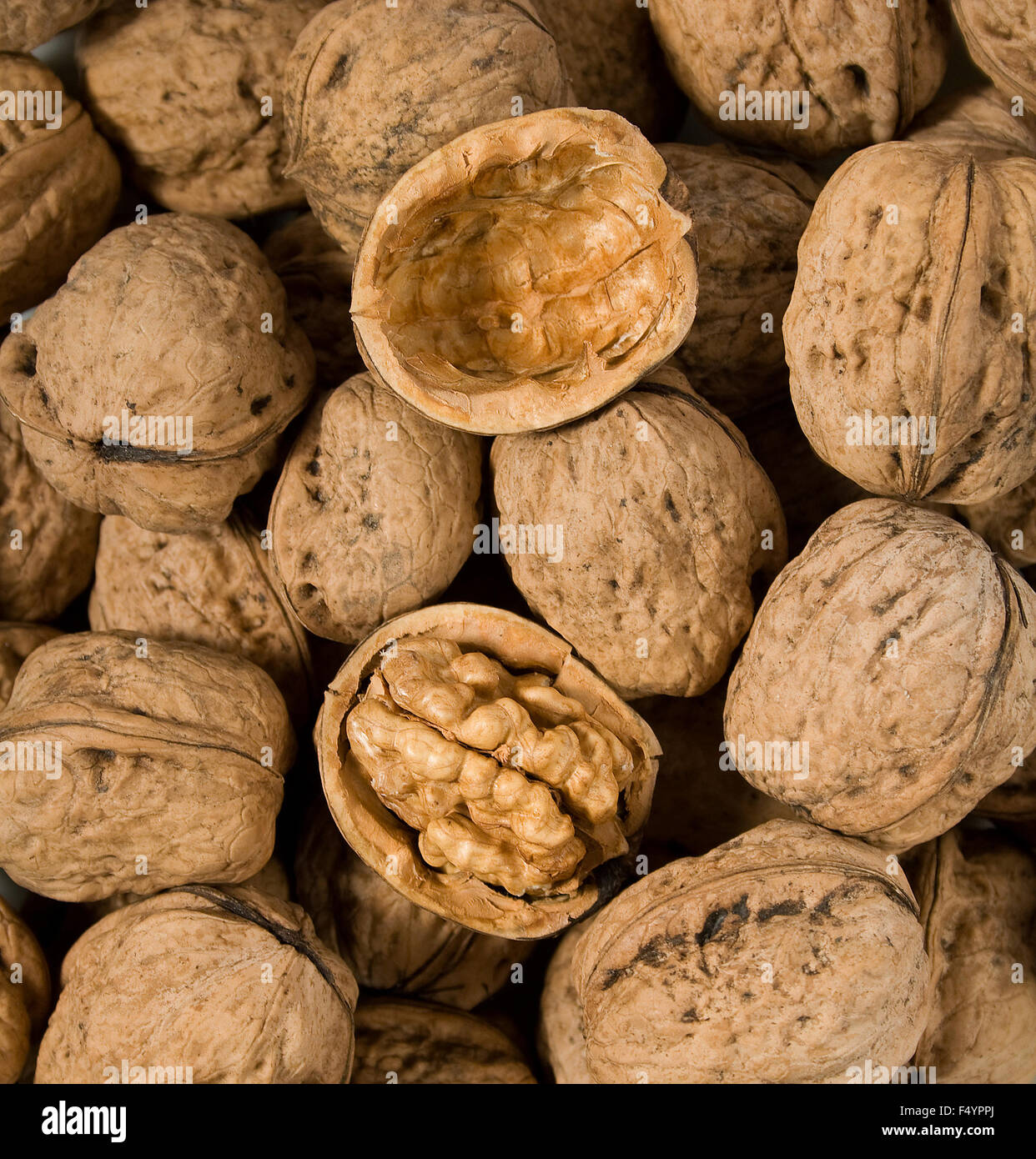 One open walnut amid other whole walnuts Stock Photo - Alamy