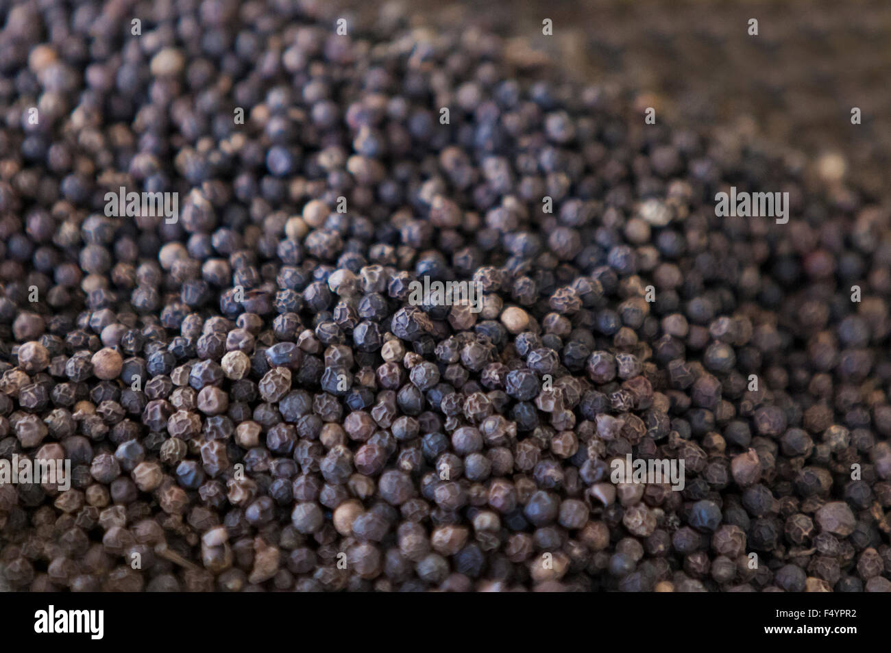 Pepper texture hi-res stock photography and images - Alamy