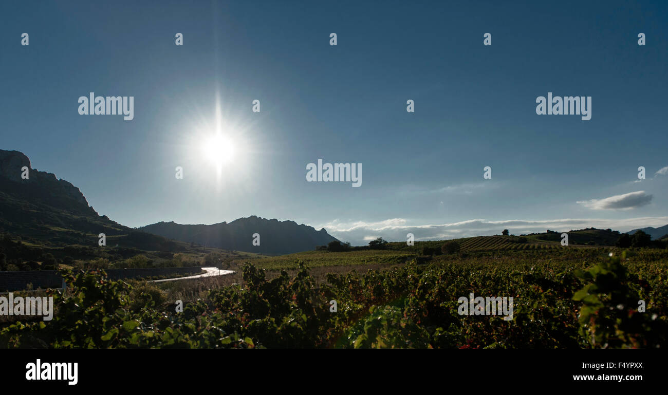 Driving on D177 through the Agly valley in autumn, Pyrénées-Orientales ...