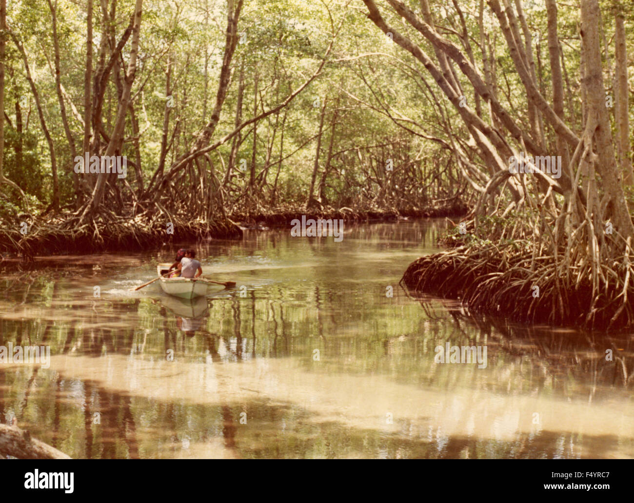 Actors Gabriele Tinti and Norma Jordan in the Italian movie "La ragazza ...