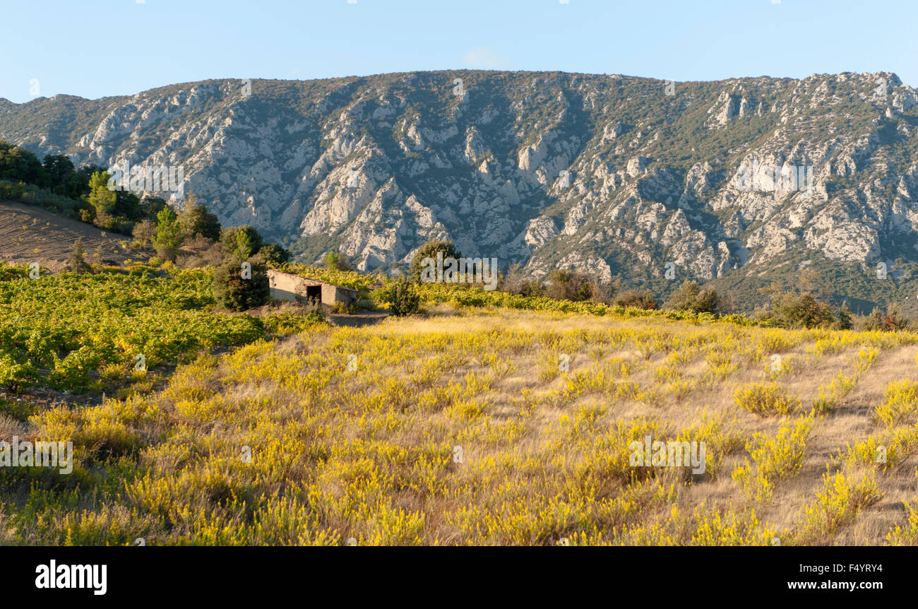 Autumn colours in the Vallée de l'Agly, a winegrowing valley of Côtes ...