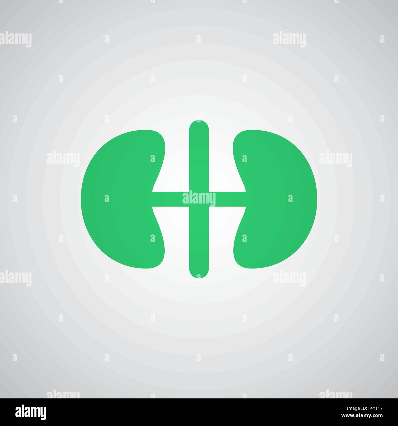 Flat green Kidneys icon Stock Vector Image & Art - Alamy