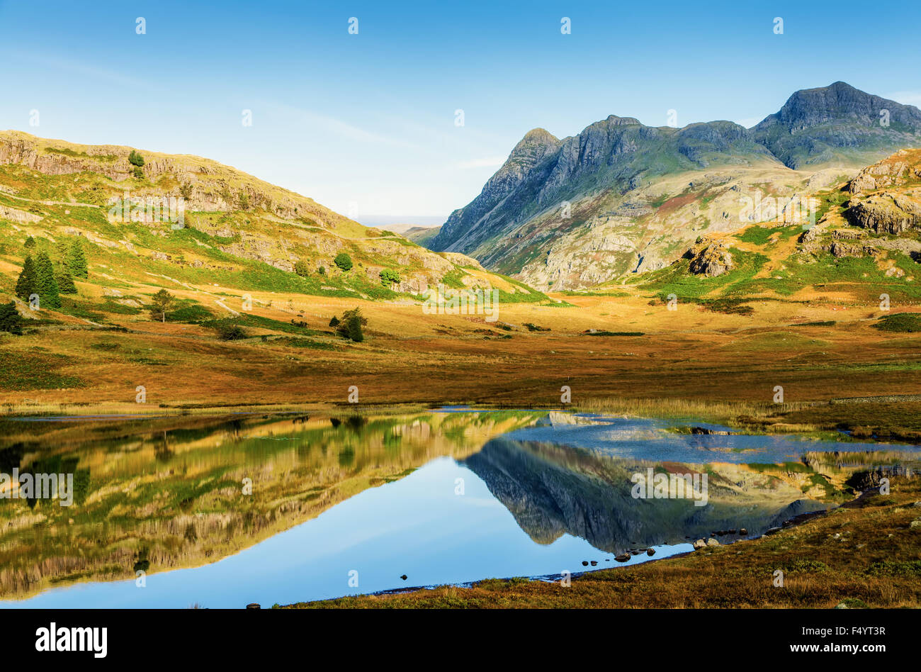 Blea Tarn, English Lake District Stock Photo - Alamy