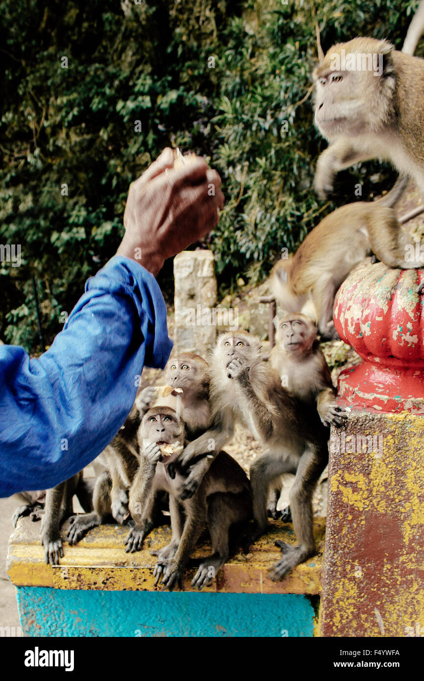 All images for website Stock Photo - Alamy