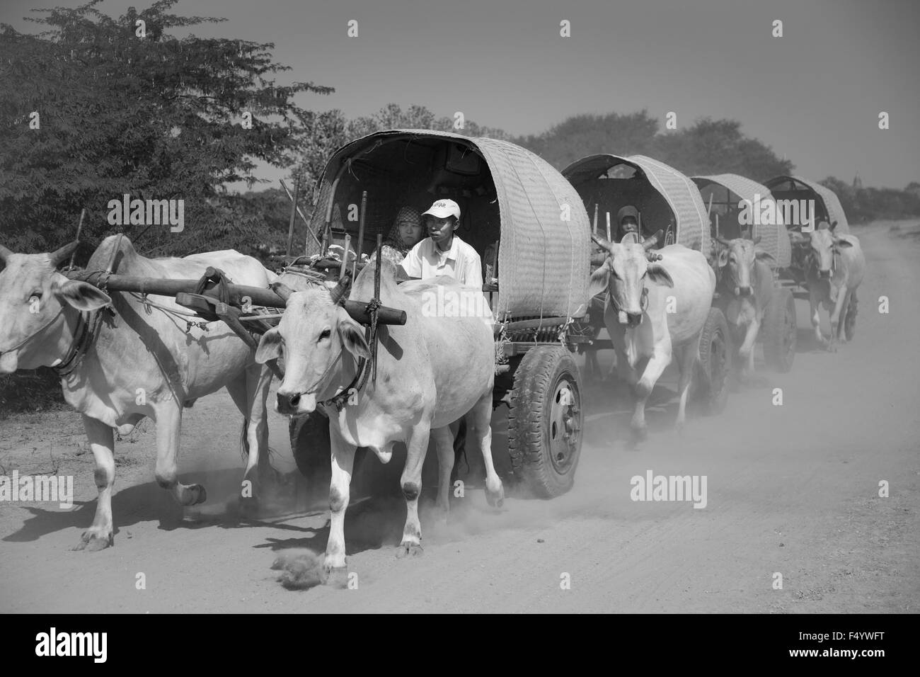 Dust carts hi-res stock photography and images - Alamy