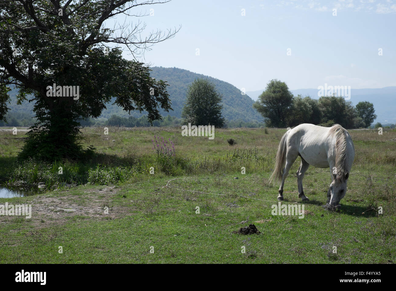 Pankisi Gorge, Georgia, Asia Stock Photo - Alamy