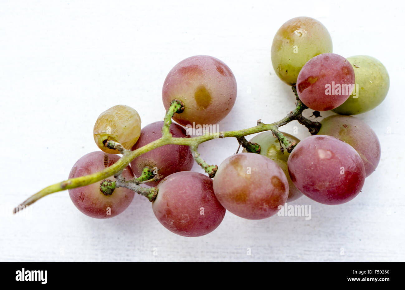 The vegetable variocolored grape object Stock Photo - Alamy