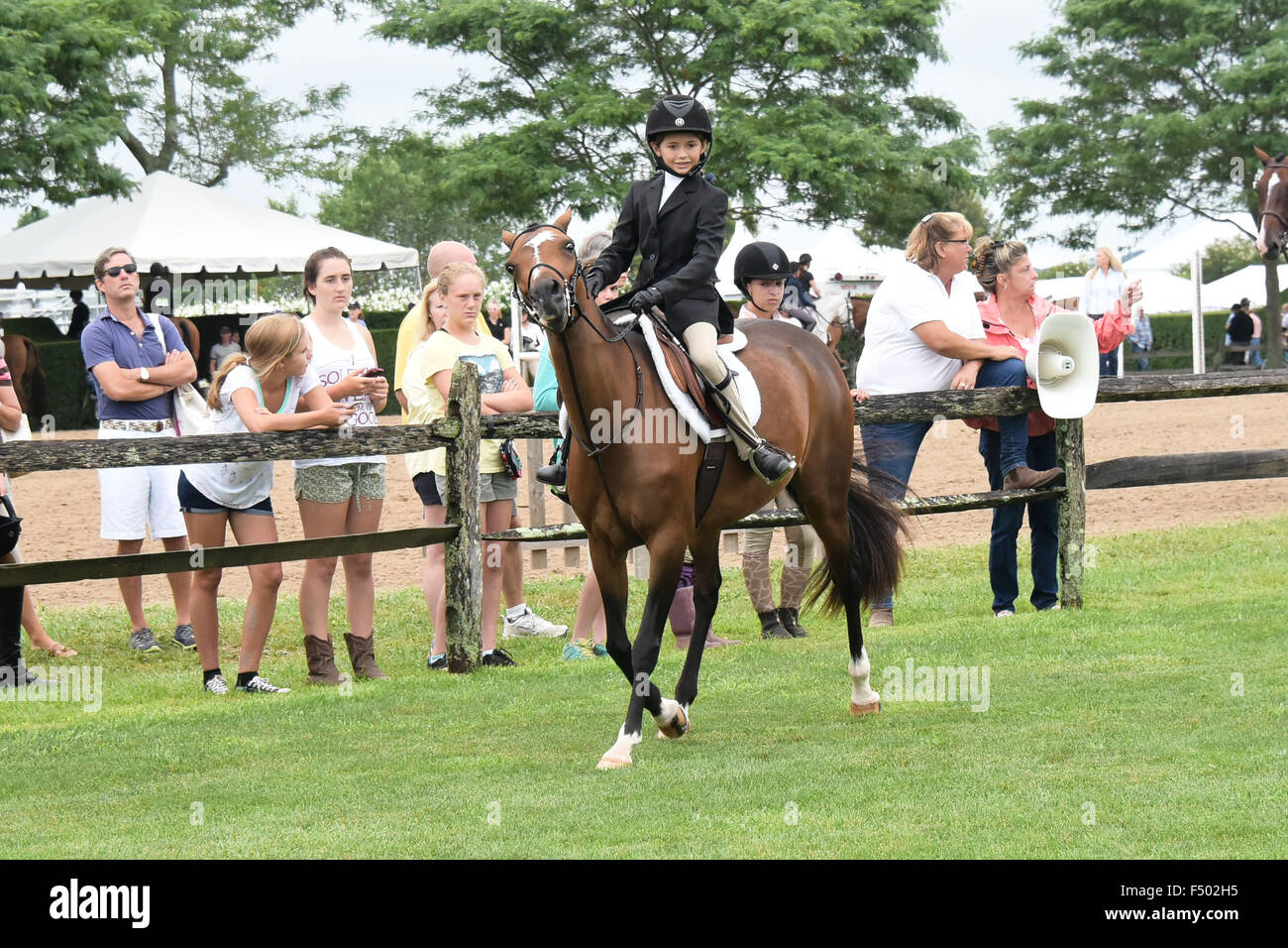 2015 hampton classic horse show hi-res stock photography and images - Alamy