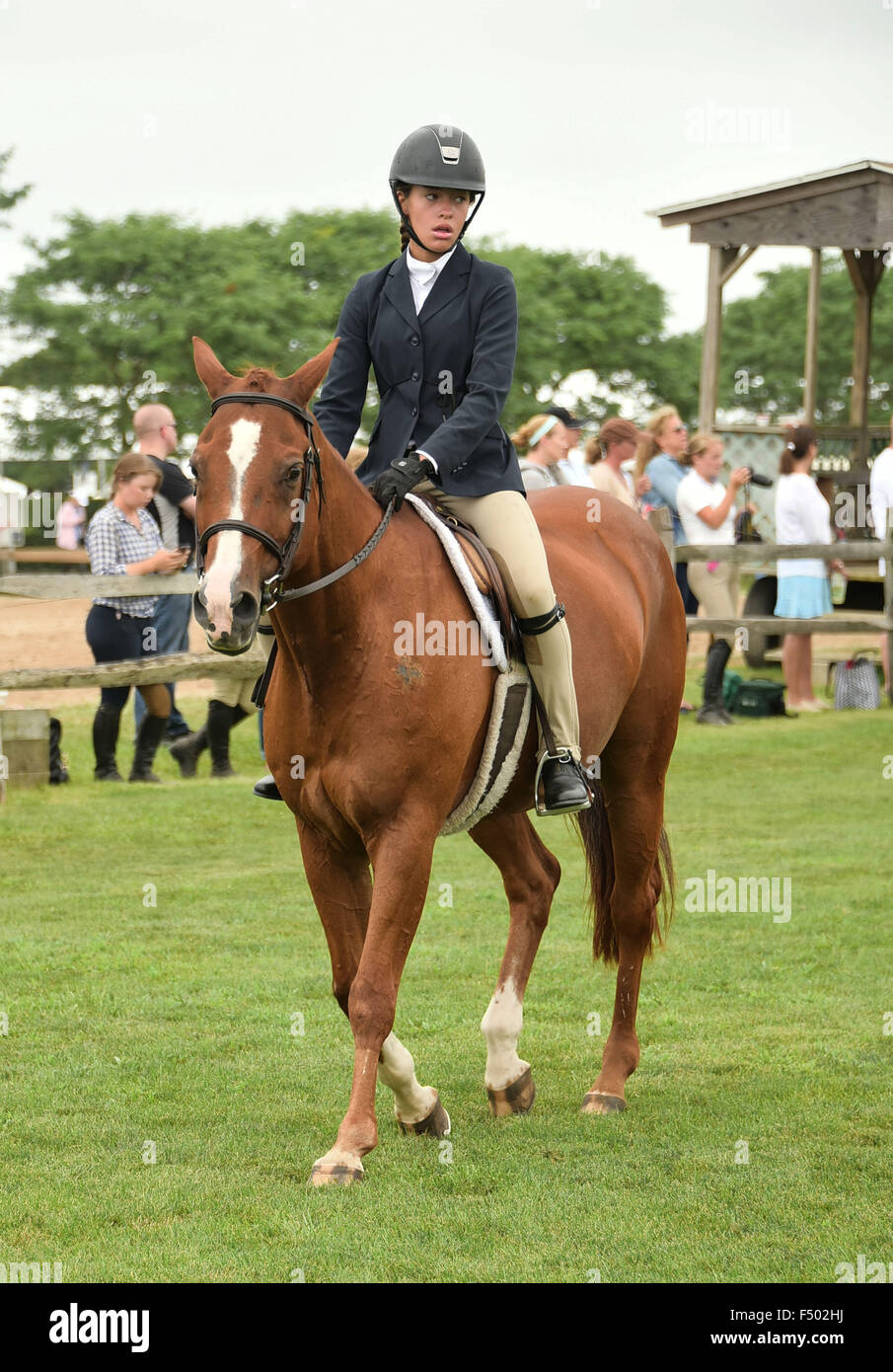 The 40th Annual Hampton Classic Horse Show Featuring: Sofia Gordon ...