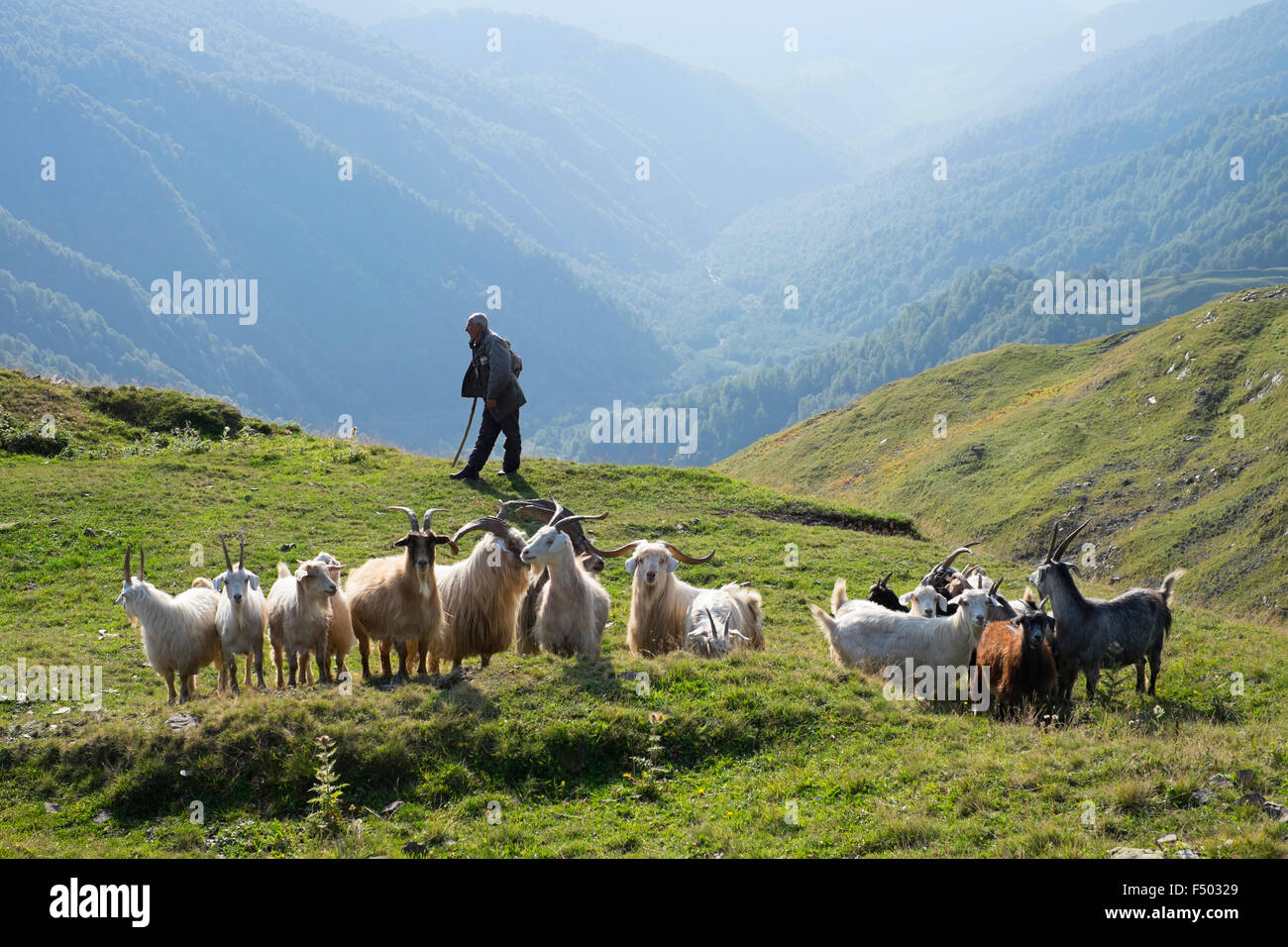 Georgian men hi-res stock photography and images - Alamy