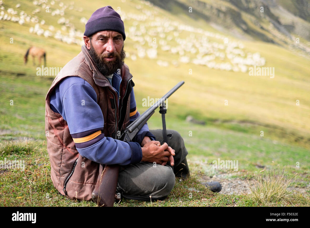 Rifle gun sheep hi-res stock photography and images - Alamy