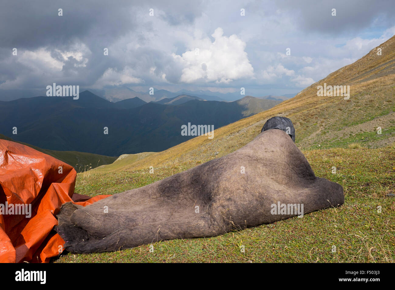 High in mountains shepherds hi-res stock photography and images - Alamy