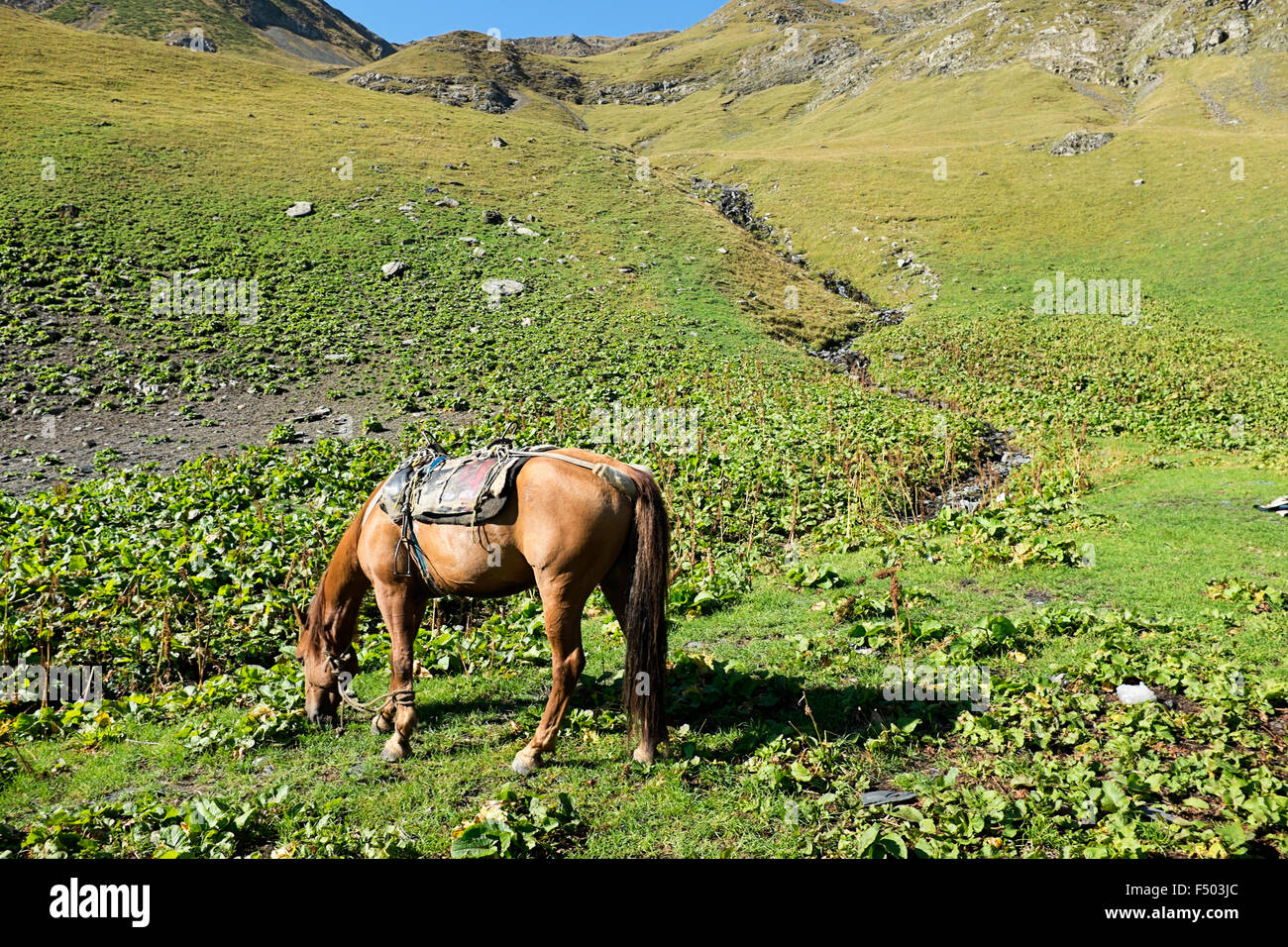 Trekking rest hi-res stock photography and images - Alamy