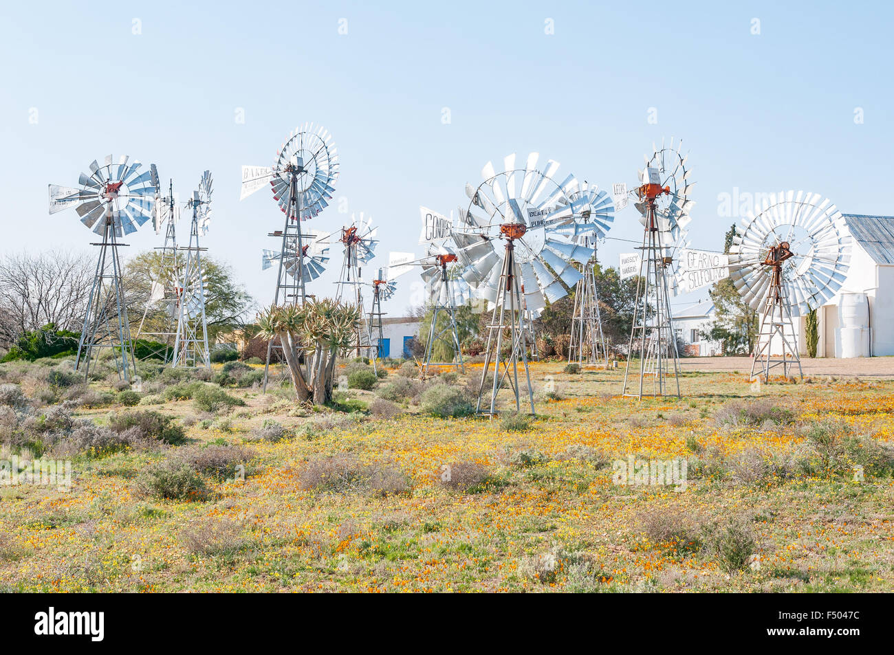 Namaqualand museum hi-res stock photography and images - Alamy