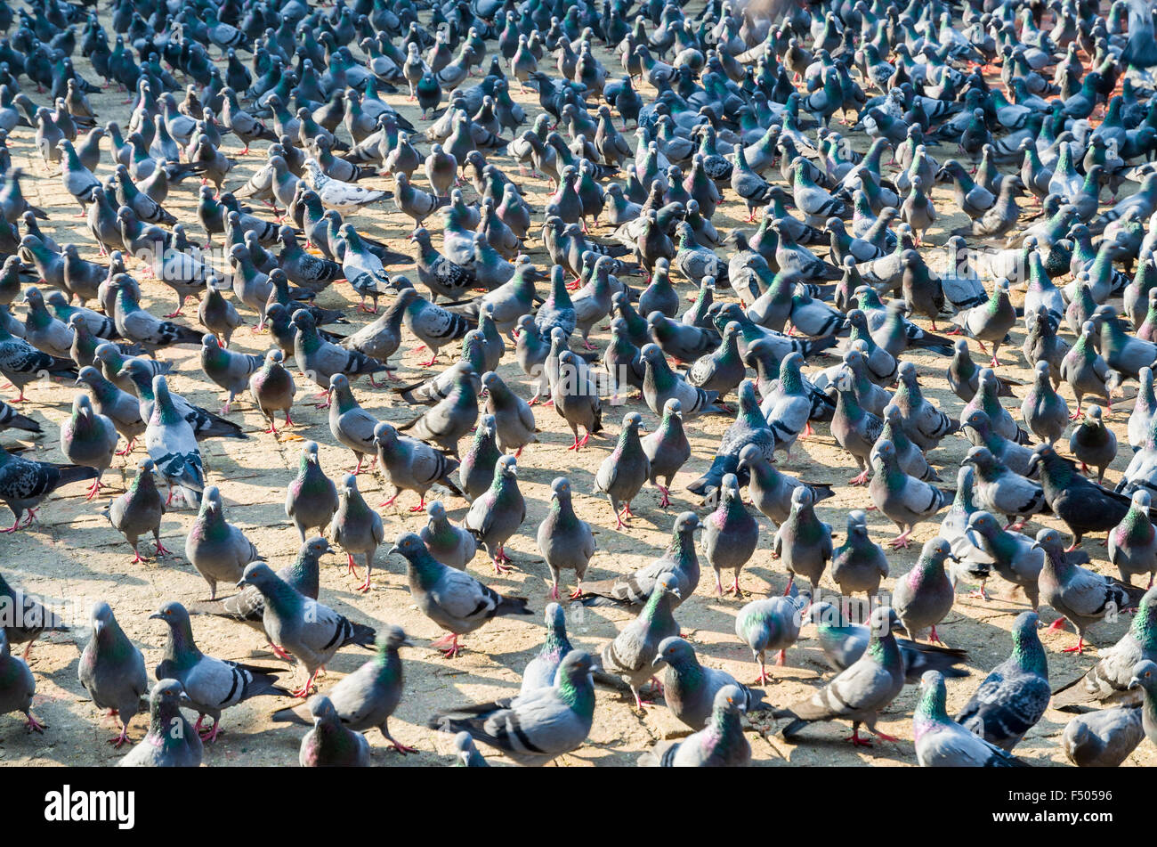 Valley of the doves hi-res stock photography and images - Alamy