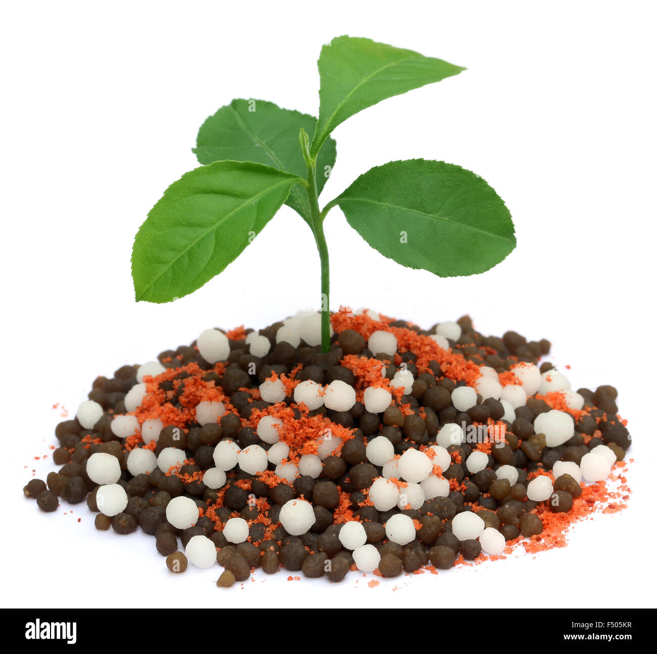 Chemical Fertilizers For Plants