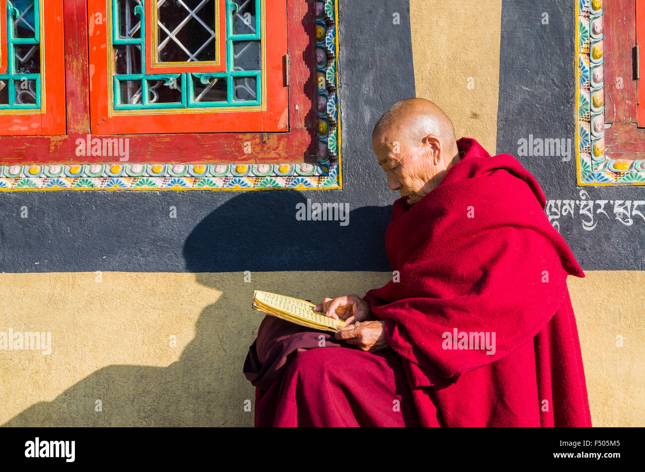 Tibetean monk reading the holy scriptures in tibetean language at the ...