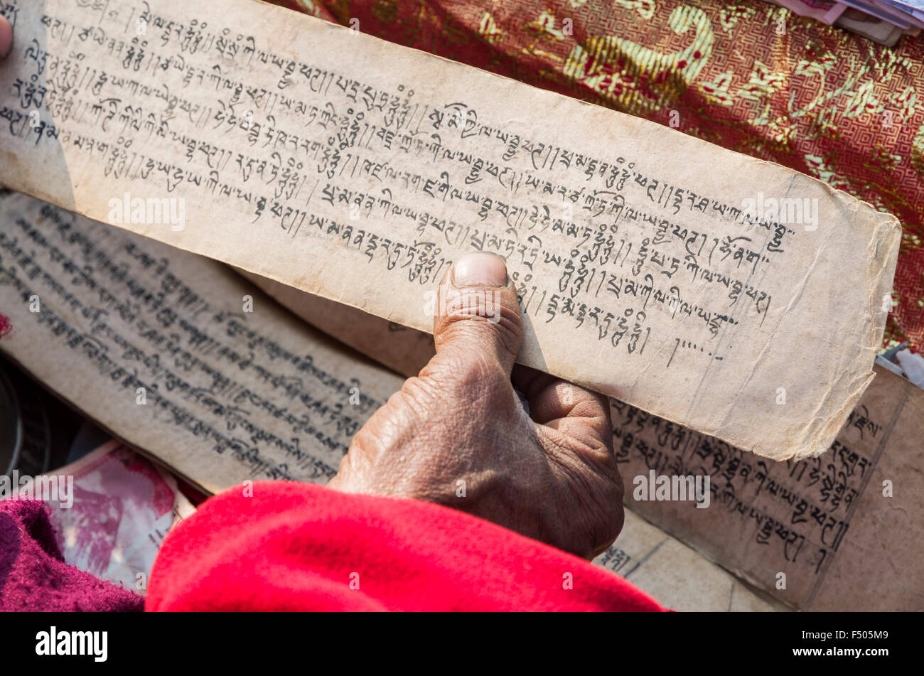 Tibetean monk reading the holy scriptures in tibetean language at the ...