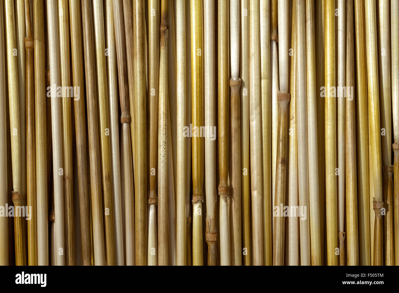 a long dry straw arranged in stripes Stock Photo - Alamy