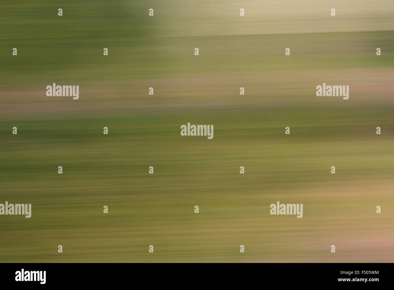 Panned technique hi-res stock photography and images - Alamy