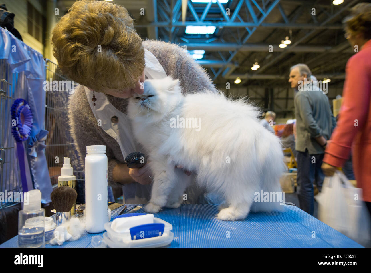 Birmingham, UK. 24 October 2015. 39th Supreme Cat Show held at the NEC ...