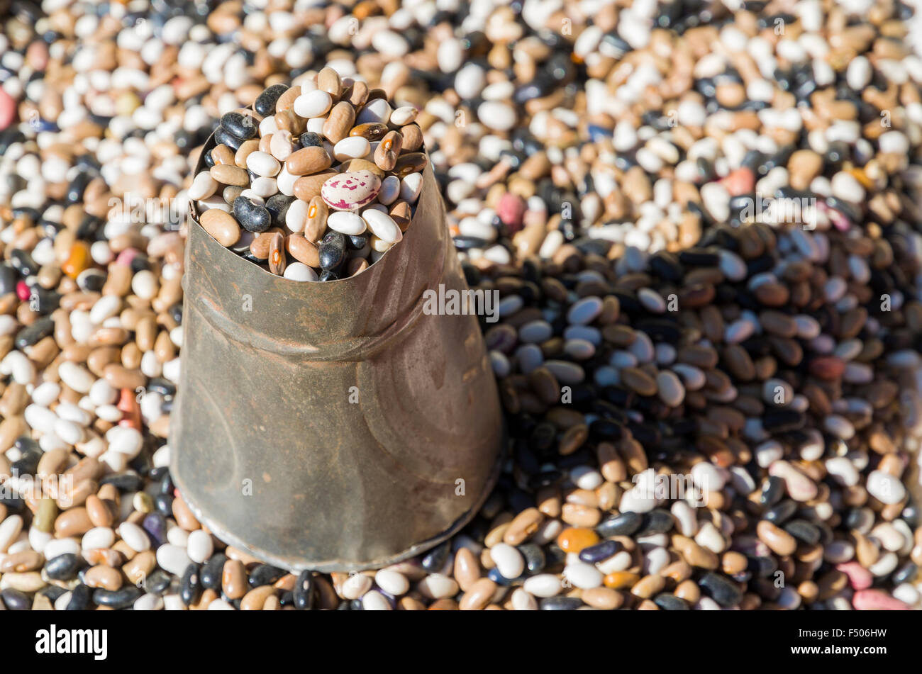 Different types of dal displayed for sale on the street Stock Photo - Alamy