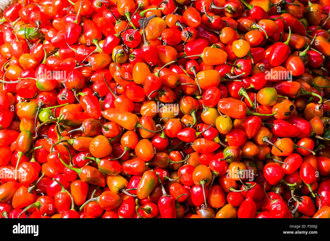 Red dry chillies hi-res stock photography and images - Alamy