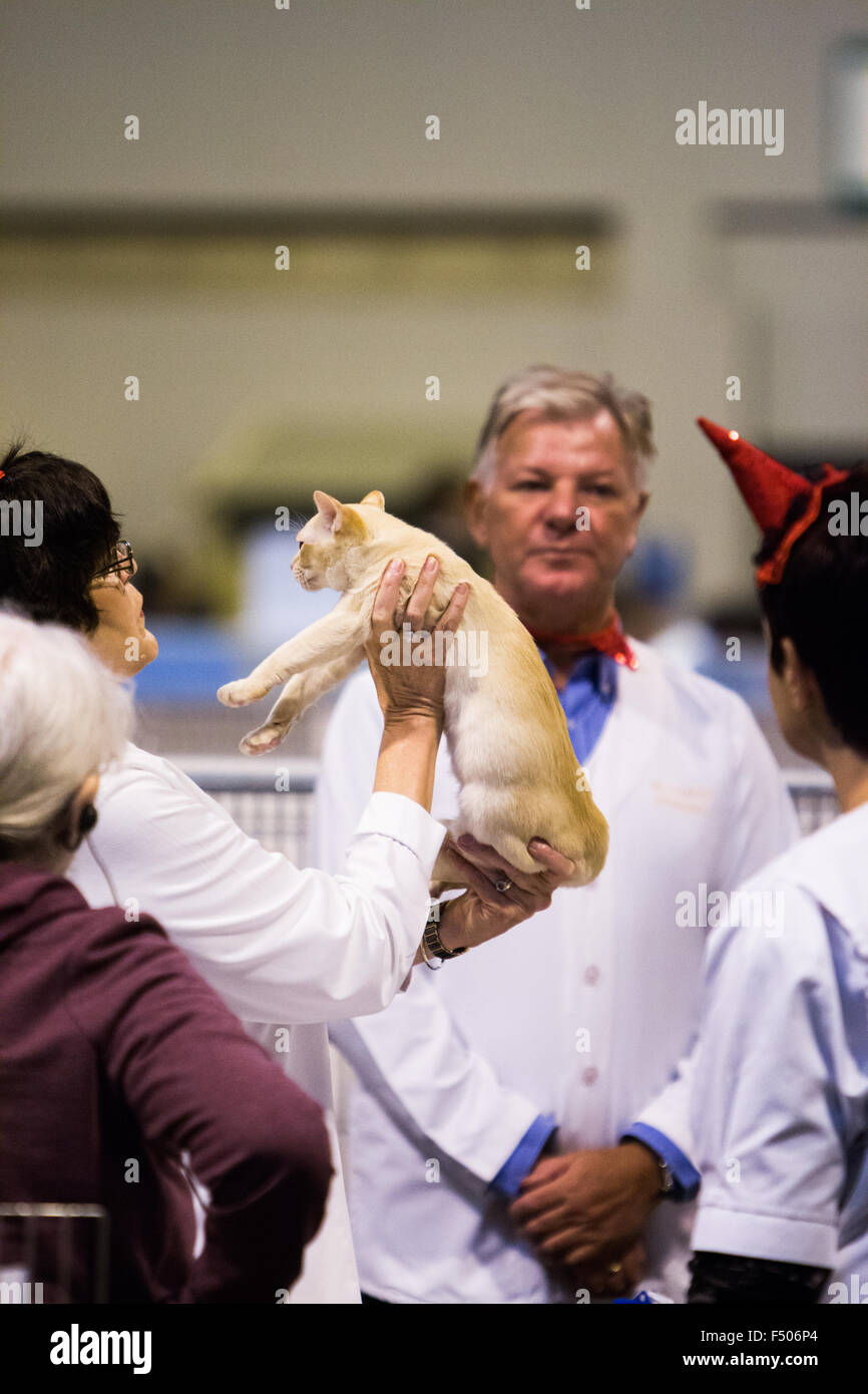 Birmingham, UK. 24 October 2015. 39th Supreme Cat Show held at the NEC ...