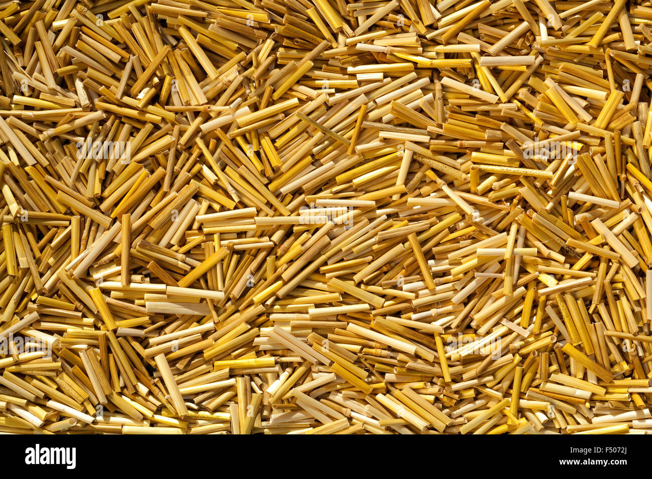 yellow dry straw cut on pieces as background Stock Photo - Alamy