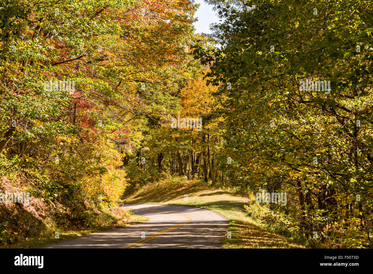 Autumn foliage along the Blue Ridge National Parkway outside Asheville ...