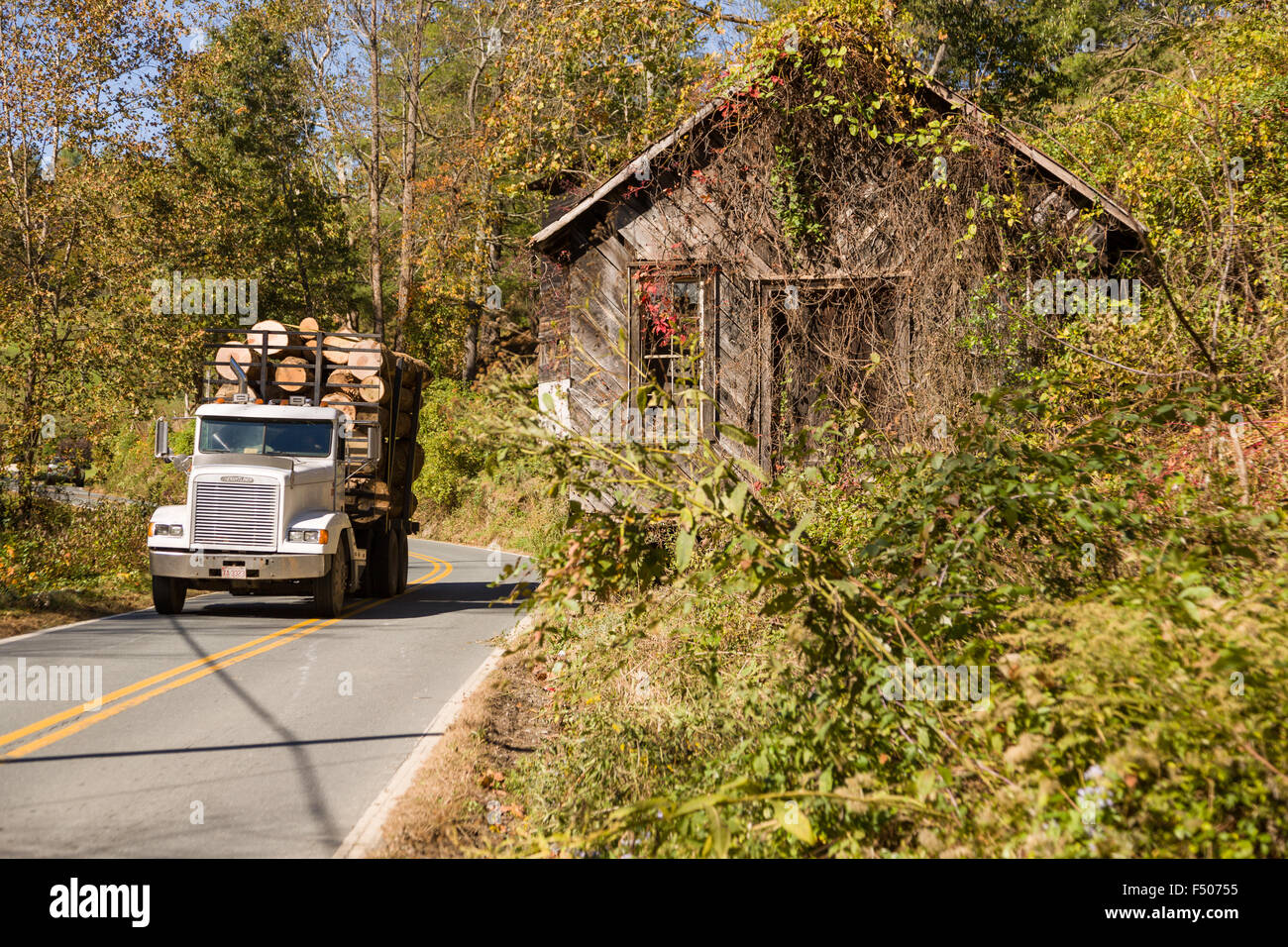 Logging truck usa hi-res stock photography and images - Alamy