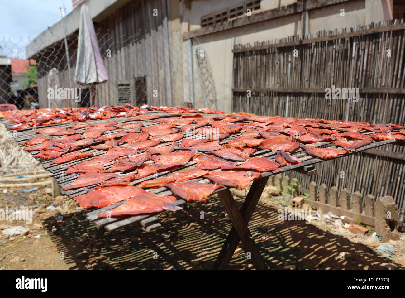 fish drying on a wooden rack Stock Photo - Alamy