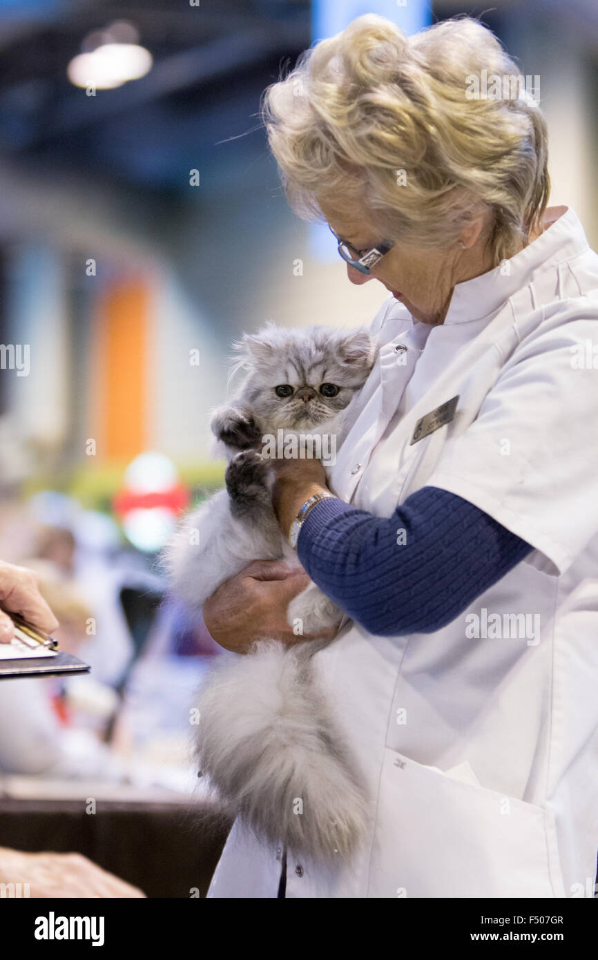 Birmingham, UK. 24 October 2015. 39th Supreme Cat Show held at the NEC ...