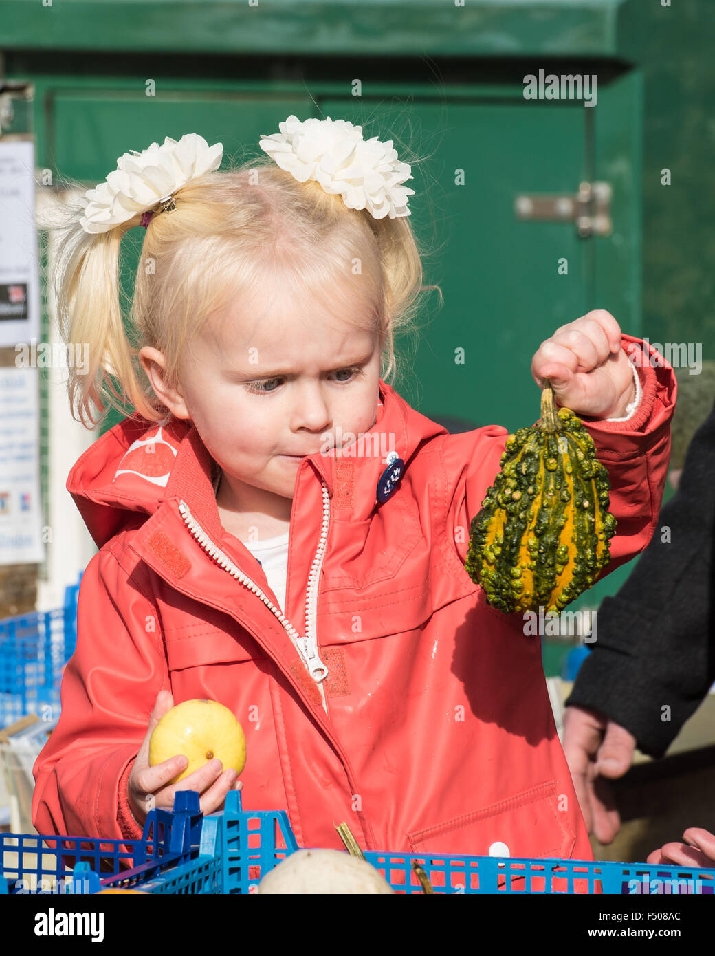 Slindon, West Sussex, UK. 25th Oct, 2015. 3 year old Kailani Mathieu ...