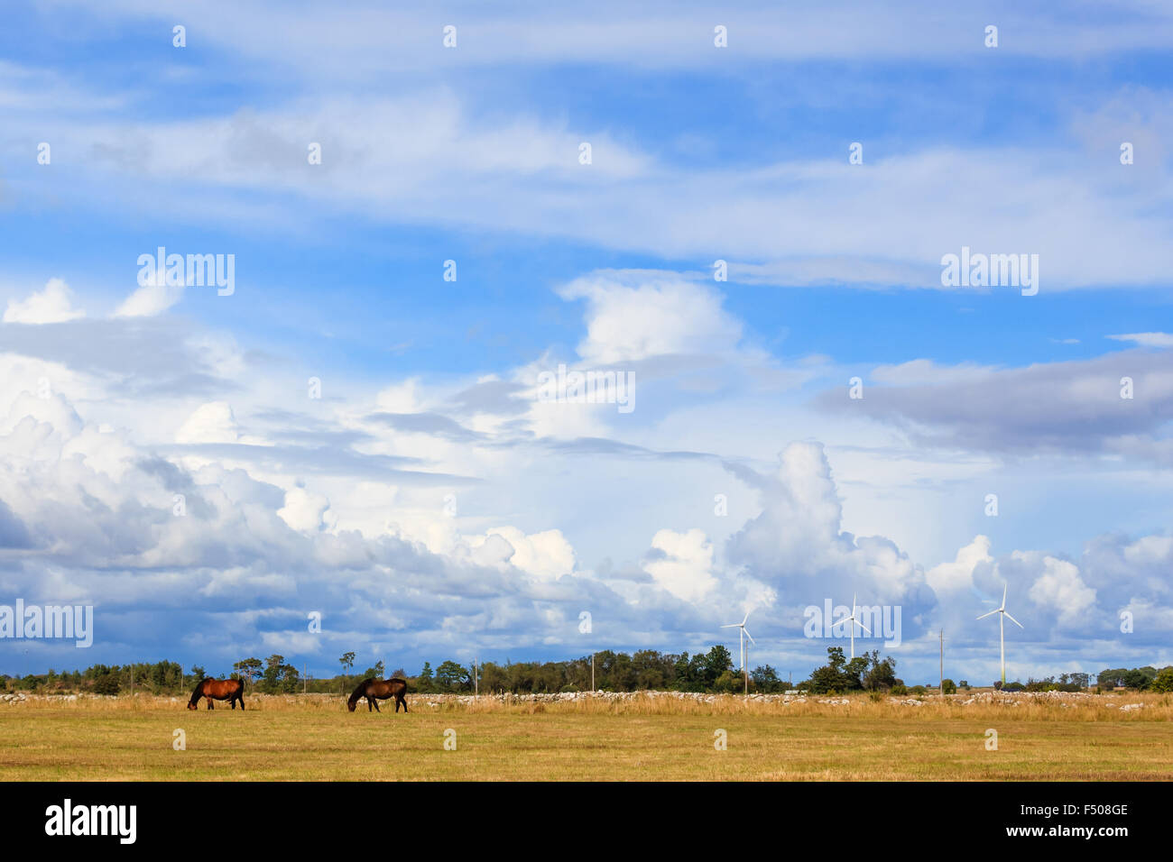 Windmills oland sweden hi-res stock photography and images - Alamy